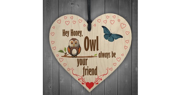 Owl Always Be Your Friend Hanging Heart Plaque Sign Gift