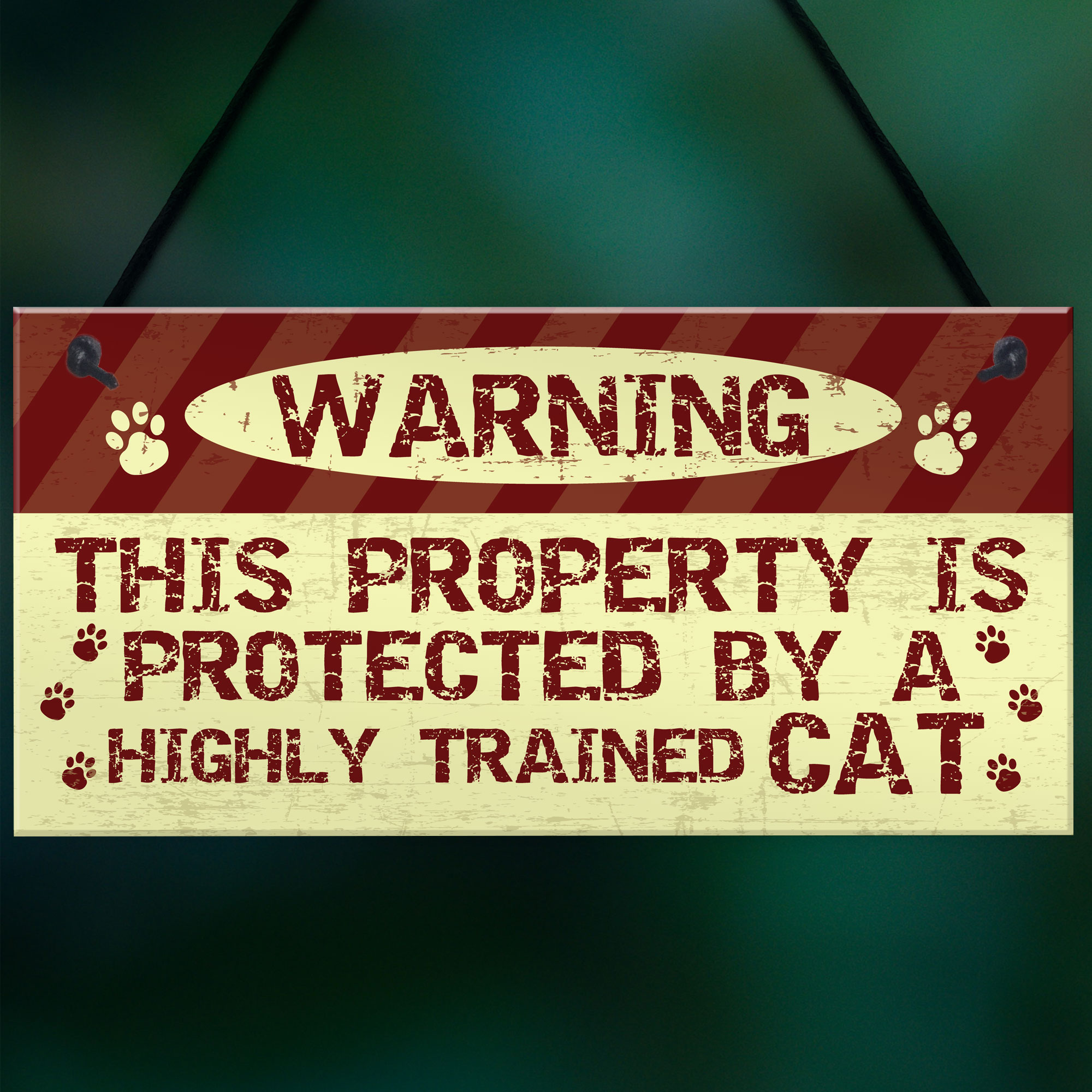 Cat Signs And Plaques Beware Cat Sign Funny Cat Sign Decor Cat Signs And Plaques Beware Cat Sign Funny Cat Sign Decor